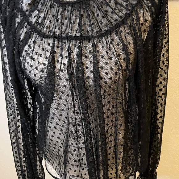 Zara | Tops | Zara Sheer Long Sleeve Black Blouse | Poshmark